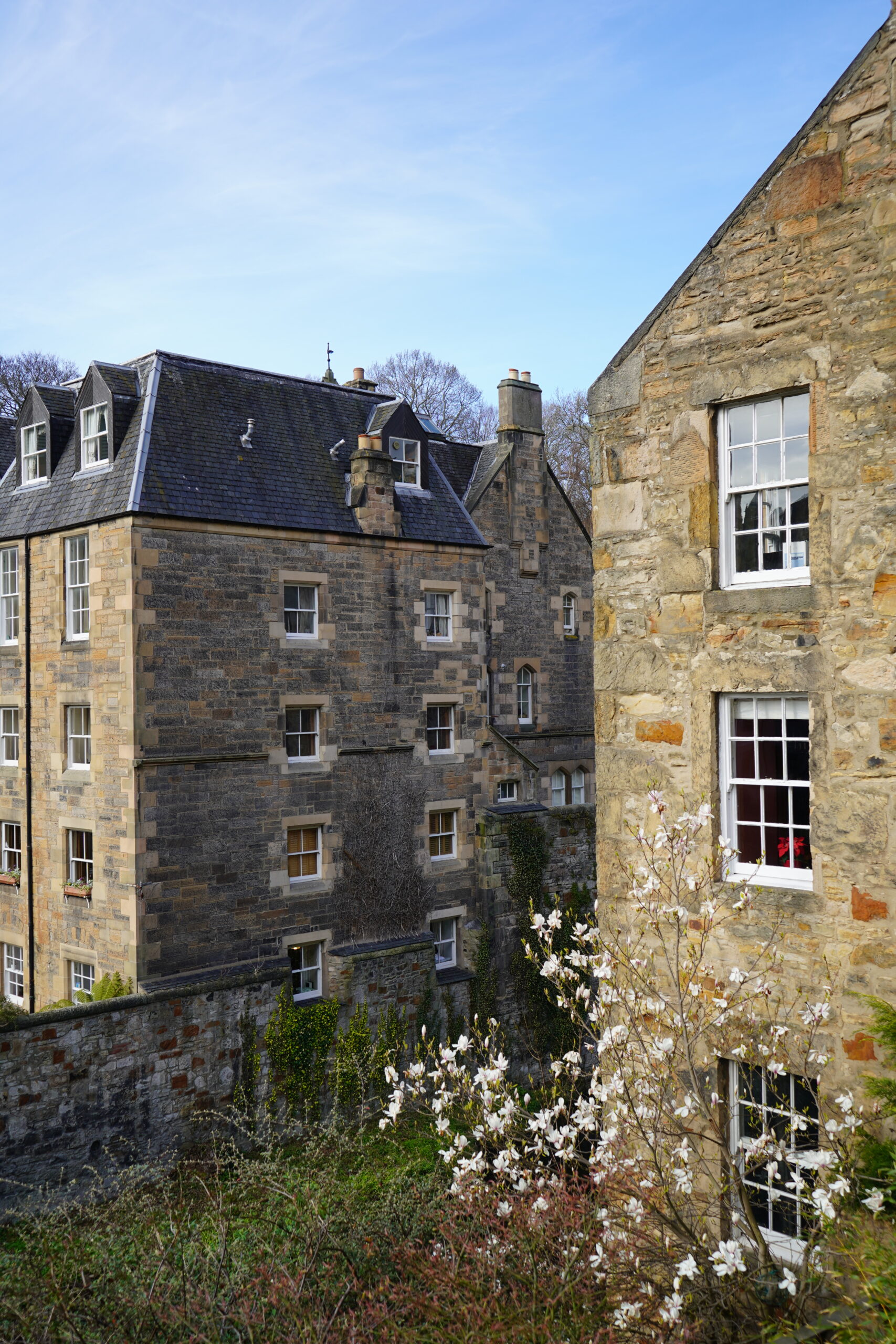 Edinburgh’s Trip: A Journey of History, Charm, and Energy - Wander & Wonder